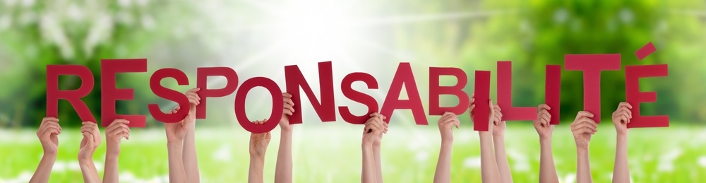 Responsabilité Sociale des entreprise en France ou RSE